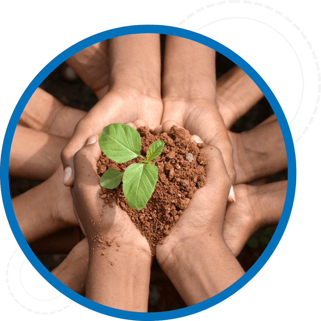 Going Green | Rapid City, SD | Servall Uniform & Linen